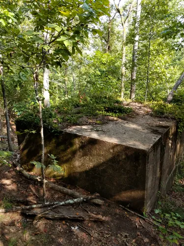 10 Best Trails and Hikes in Rome | AllTrails