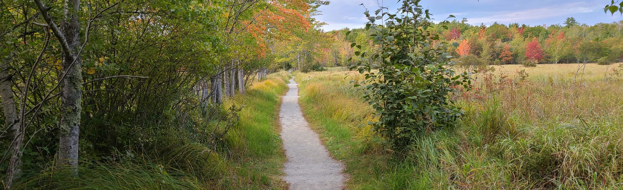 Jesup and Hemlock Loop, Maine - 777 Reviews, Map | AllTrails
