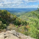 Mathews Arm Overall Run Trail, Virginia - 233 Reviews, Map | AllTrails