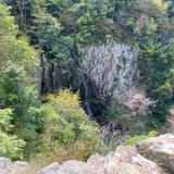 Mathews Arm Overall Run Trail, Virginia - 233 Reviews, Map | AllTrails