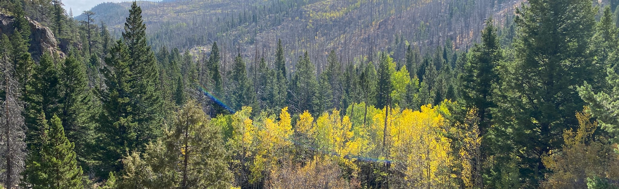 Fern Falls via Fern Lake Trail: 354 Reviews, Map - Colorado | AllTrails