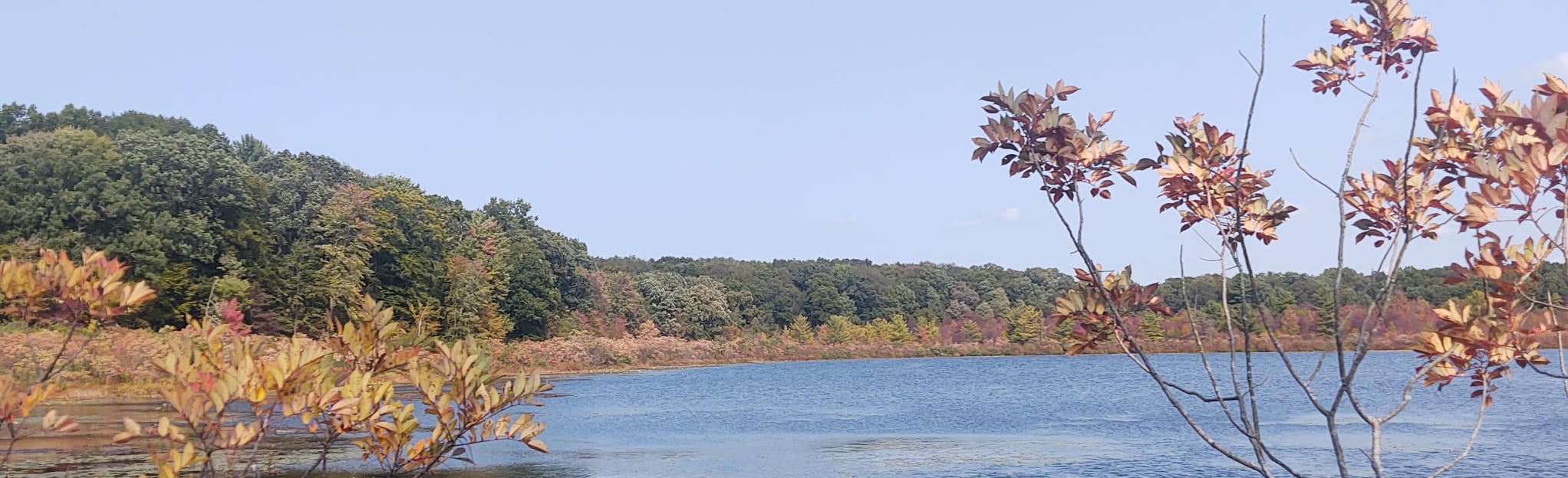 Kettle Trail, Ohio - 79 Reviews, Map | AllTrails