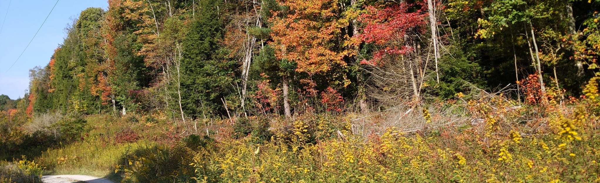 Cranesville Orange and White Trail: 2 Reviews, Map - West Virginia ...