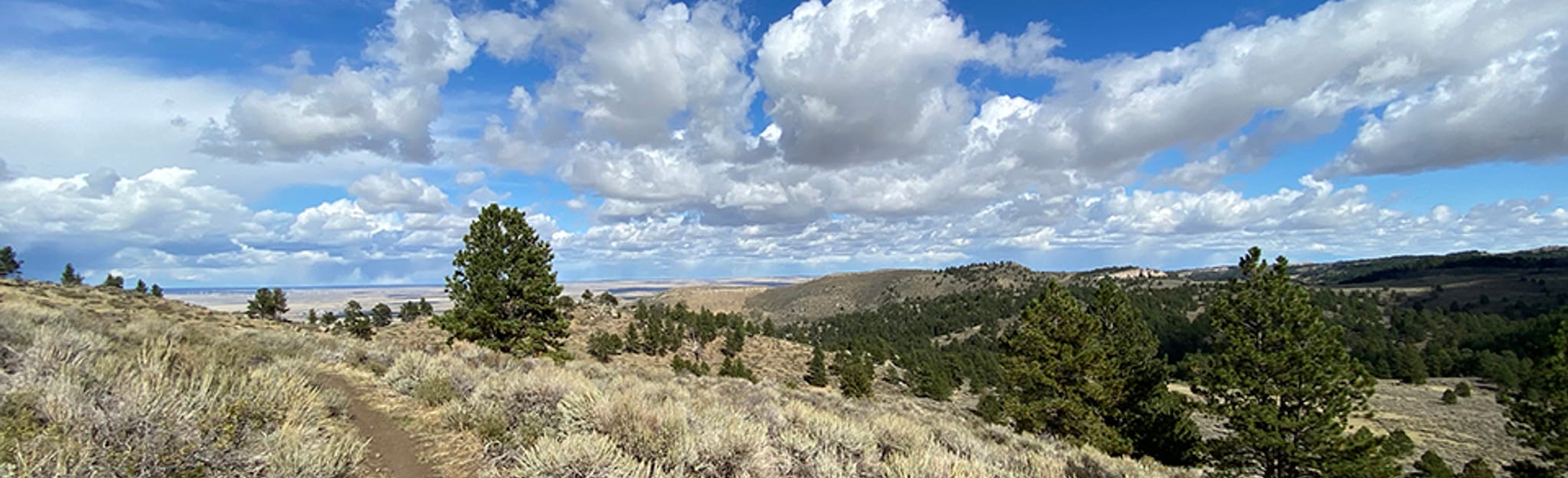 Duncan Ranch Trail, Wyoming - 73 Reviews, Map | AllTrails