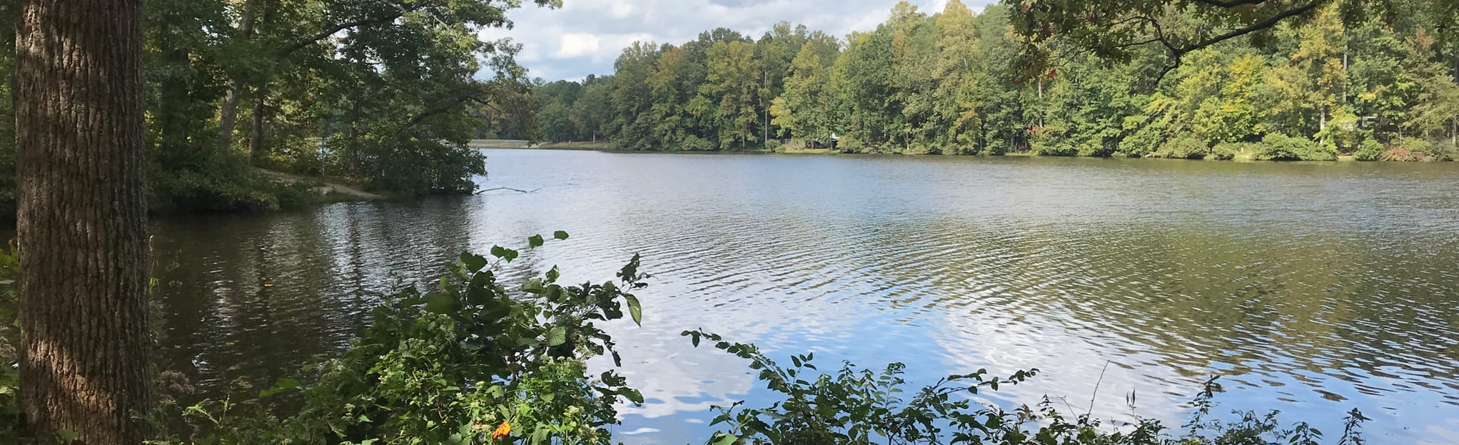 Lost Barr Trail Loop, Virginia - 43 Reviews, Map | AllTrails