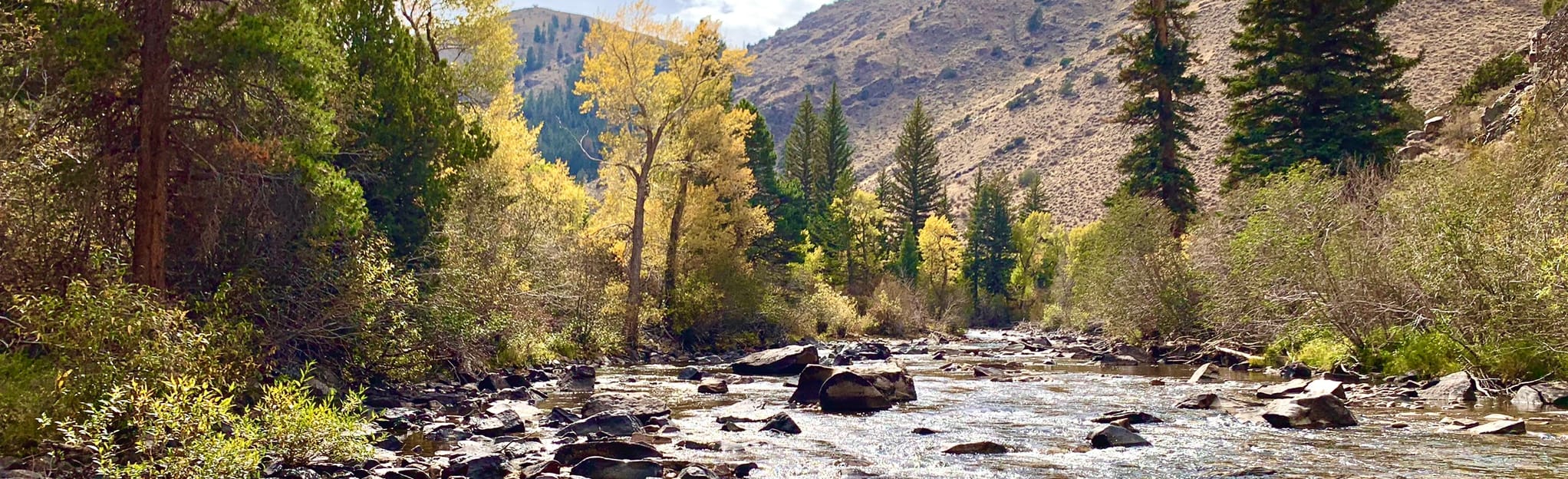 Encampment River Trail from Odd Fellows: 40 Reviews, Map - Wyoming ...