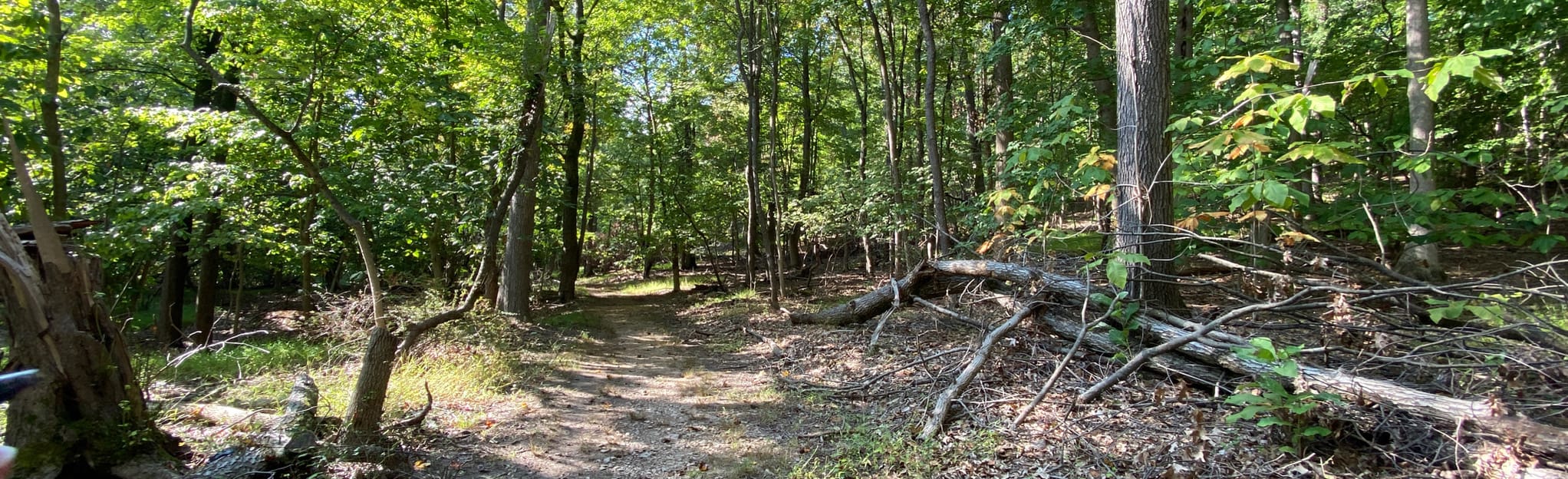 Hawk Watch Loop: 329 foto - Pennsylvania | AllTrails