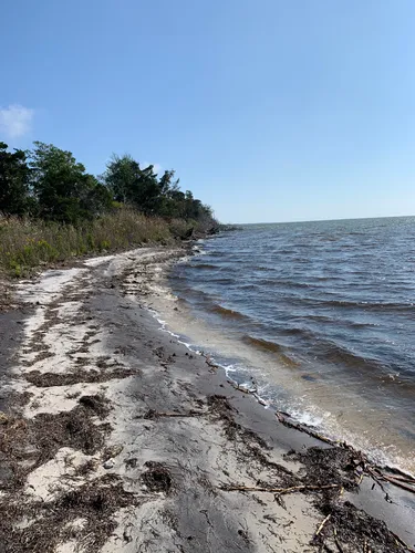 Best Hikes and Trails in Berkeley Township | AllTrails