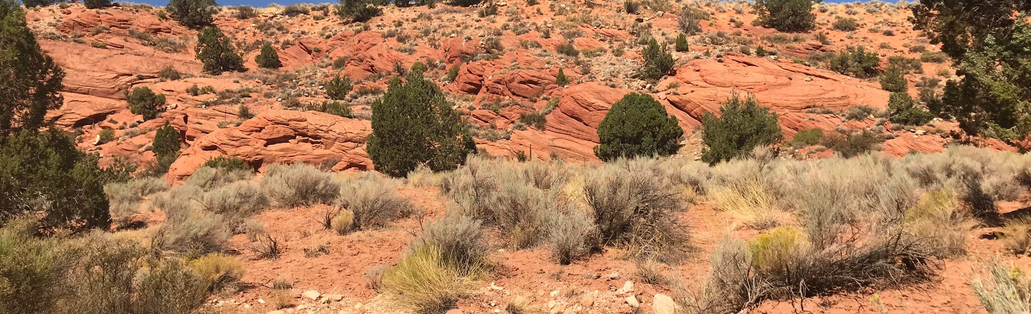 Wire Pass Trail: 2569 Reviews, Map - Utah | AllTrails