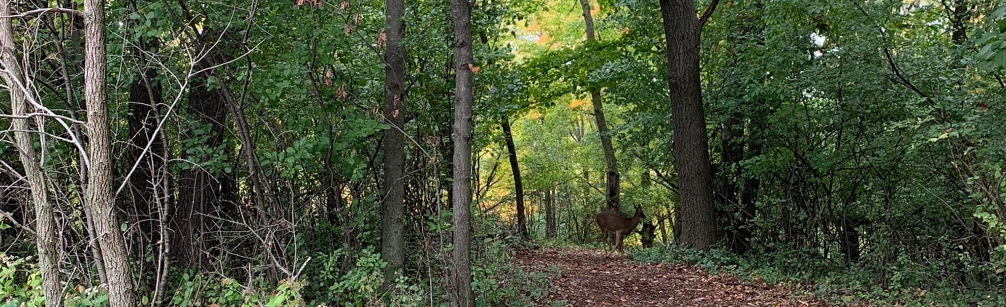 MacKenzie Center Ecology Trail, Wisconsin - 48 Reviews, Map | AllTrails