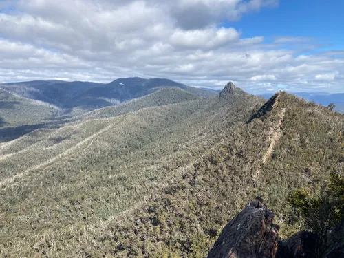 Best Bird Watching Trails in Cathedral Range State Park | AllTrails