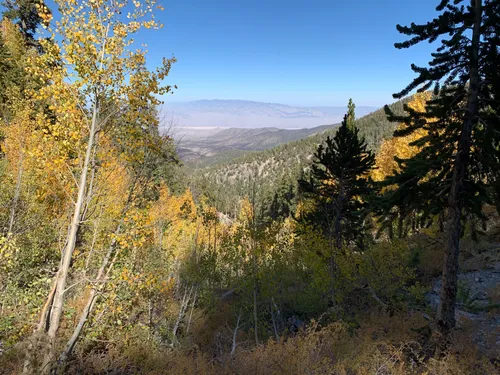 Best 10 Hikes and Trails in Spring Mountains National Recreation Area ...