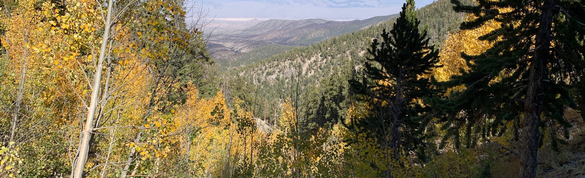 Mummy Mountain via Mummy Spring Trail, Nevada - 49 Reviews, Map | AllTrails