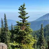 Hurricane Ridge to Heart of the Hills via Heather Park Trail ...