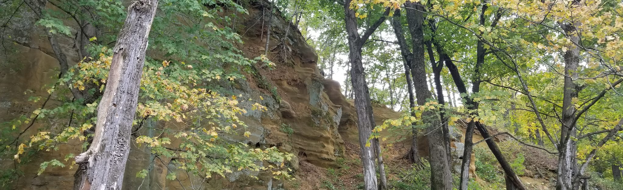 Fallen Rock State Preserve Trail, Iowa - 2 Reviews, Map | AllTrails