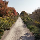Goderich to Guelph Rail Trail, Ontario, Canada - 63 Reviews, Map ...
