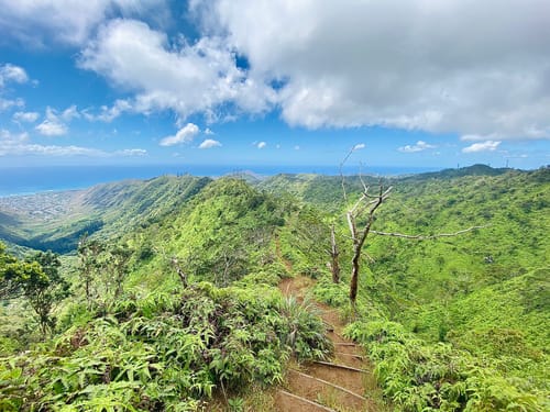2023 Best 10 River Trails in Honolulu | AllTrails