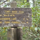 Slacks Trail [CLOSED], Virginia - 34 Reviews, Map | AllTrails