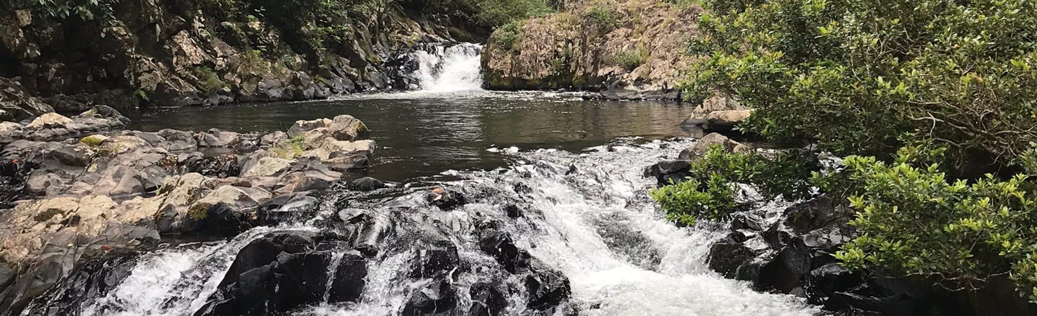 Cannabullen Falls: 101 Reviews, Map - Queensland, Australia | AllTrails