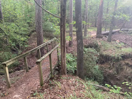 Best Hikes and Trails in Fort Gordon Recreation Area | AllTrails