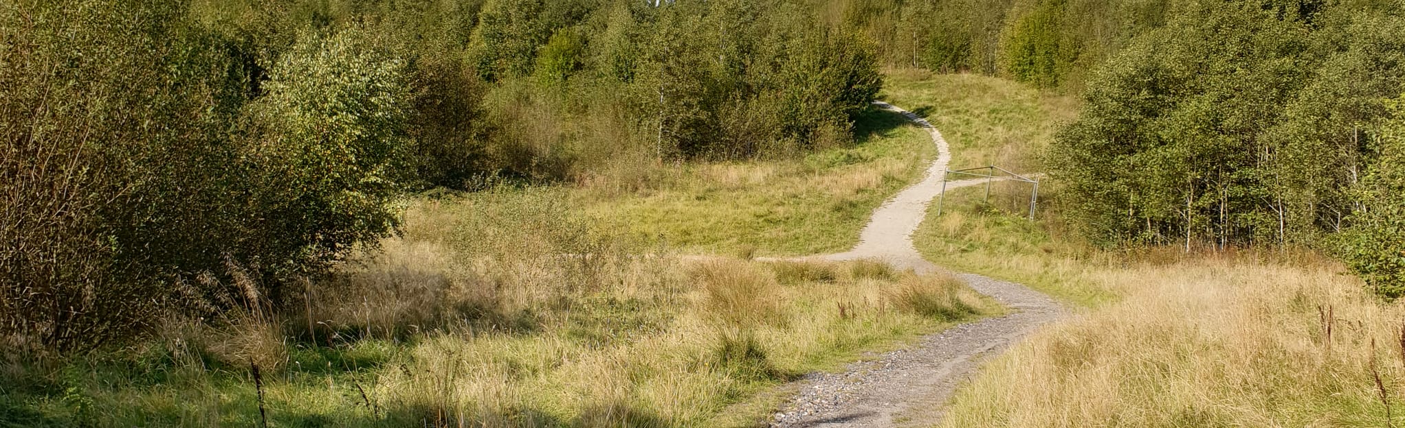 Doe Hill Country Park, Derbyshire, England - 40 Reviews, Map | AllTrails