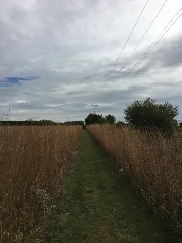 Best Hikes and Trails in Belwin Conservancy: Tallgrass Trails | AllTrails