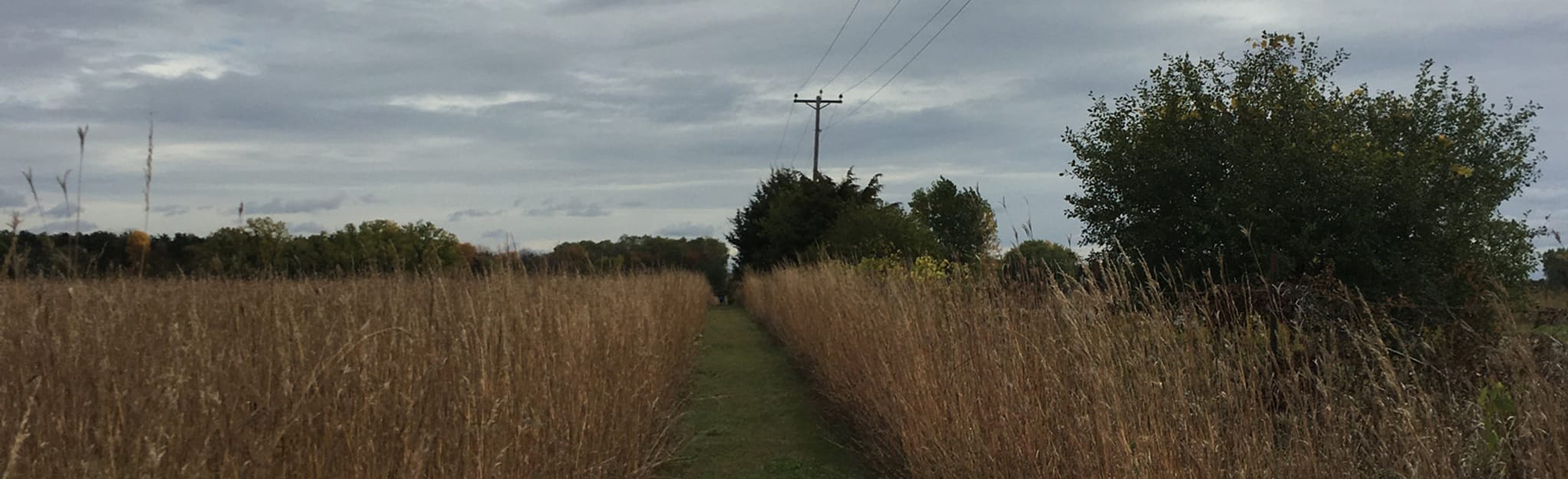 Butterfly Trail via Bison Trail Loop, Minnesota - 2 Reviews, Map ...