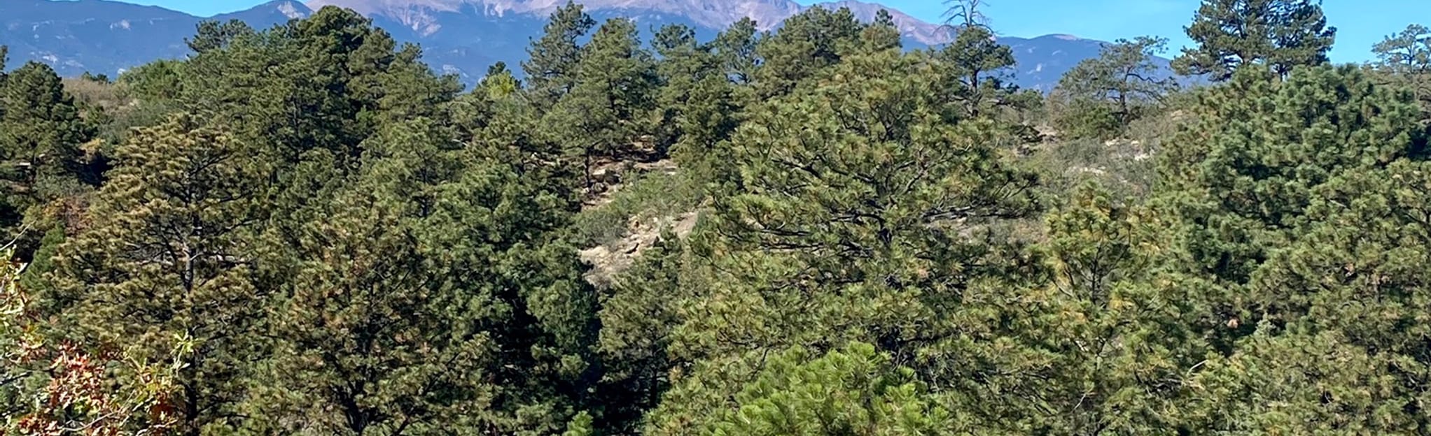 Greencrest Trail Loop: 372 Reviews, Map - Colorado | AllTrails