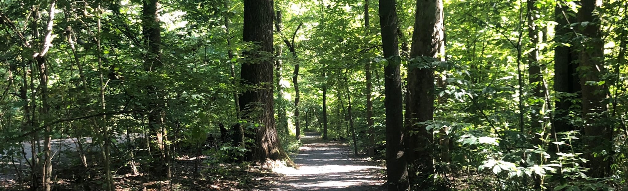 Limestone Loop: 196 Reviews, Map - Tennessee | AllTrails