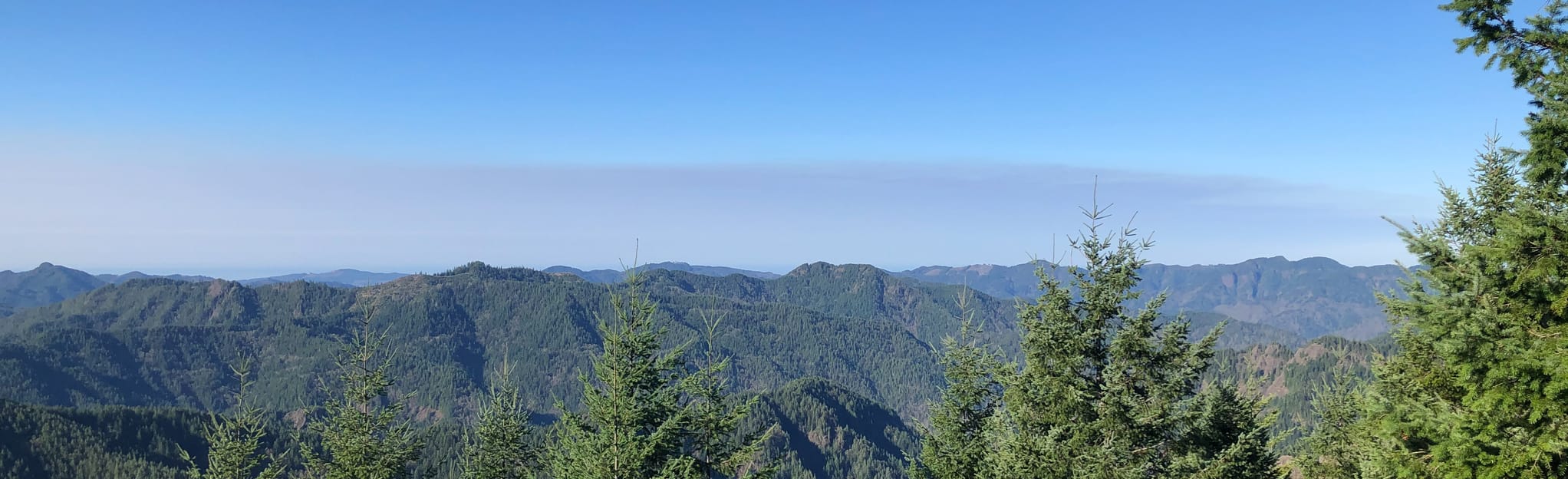 Cedar Butte Trail: 54 Reviews, Map - Oregon | AllTrails