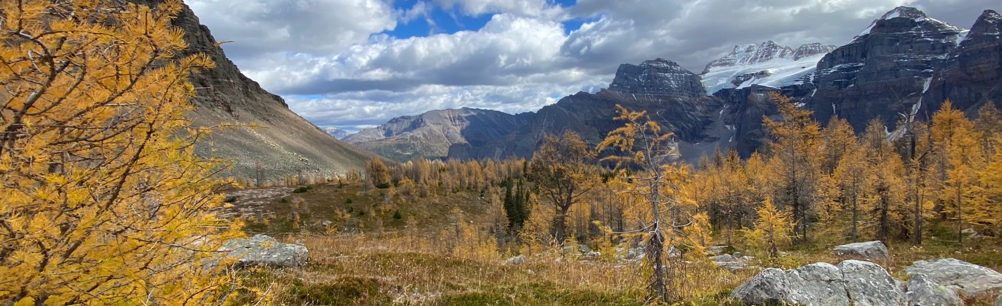 Larch Valley, Alberta, Canada - 1,536 Reviews, Map | AllTrails