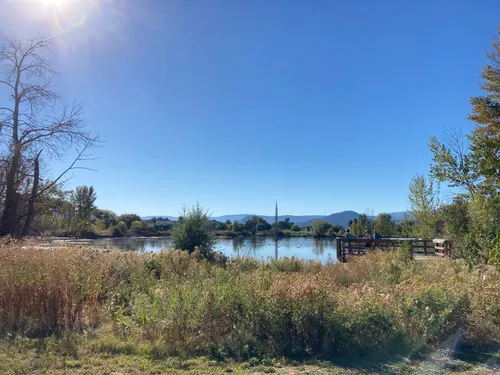 Best Kid Friendly Trails in Mission Creek Regional Park | AllTrails