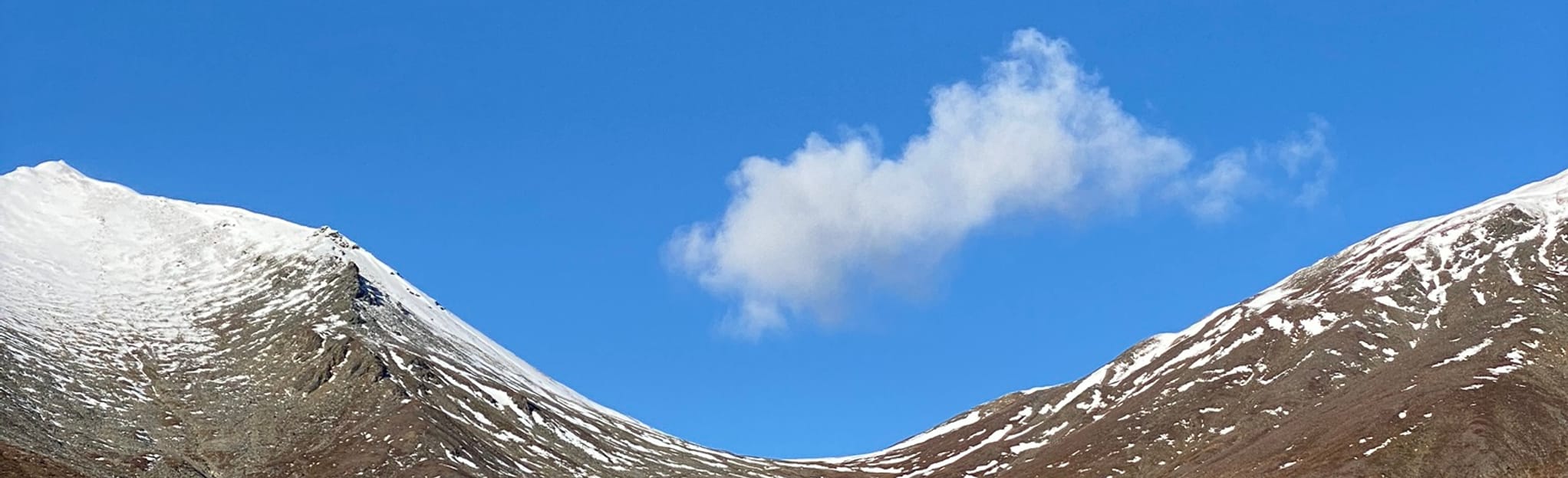 Wood River Lodge via Healy Spur Road, Alaska - 4 Reviews, Map | AllTrails