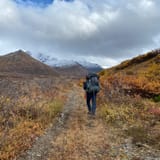 Wood River Lodge via Healy Spur Road, Alaska - 6 Reviews, Map | AllTrails