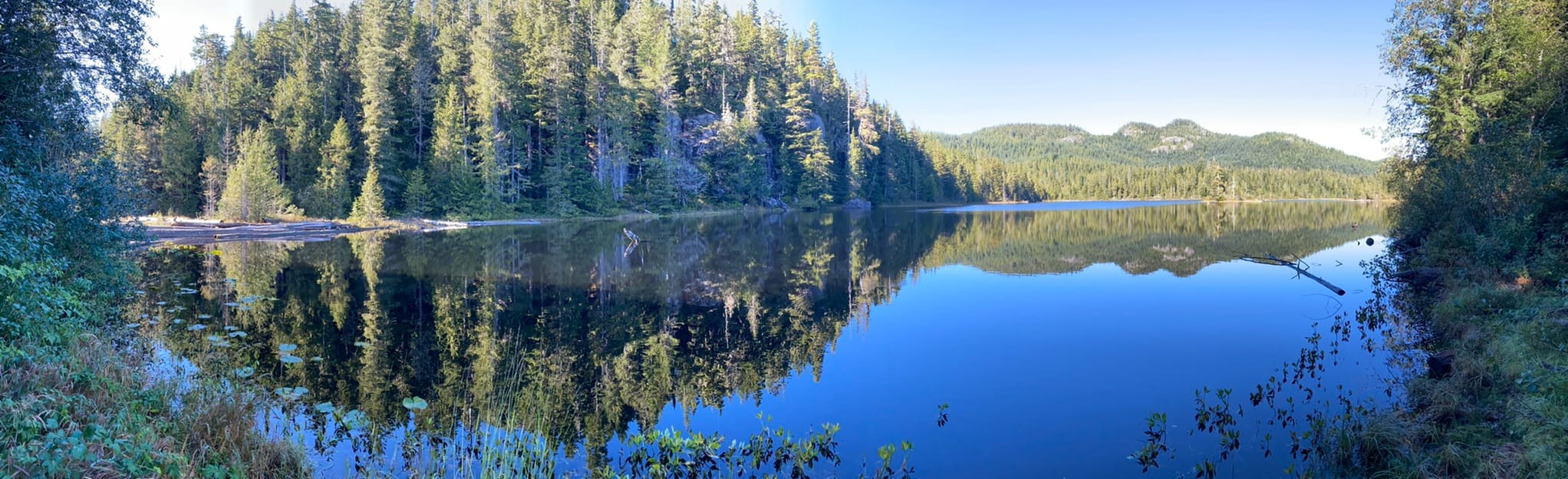 Walt Hill Loop: 14 Reviews, Map - British Columbia, Canada | AllTrails