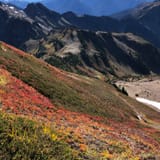 High Pass Trail, Washington - 142 Reviews, Map | AllTrails