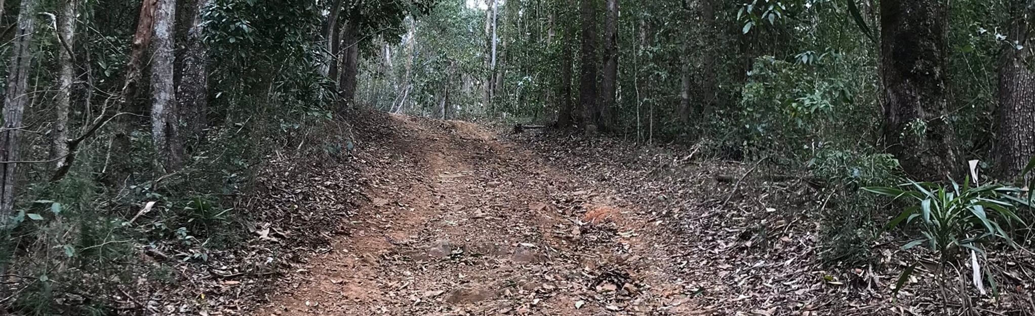 Scrub Road and Black Soil Track Loop - Queensland, Australia | AllTrails