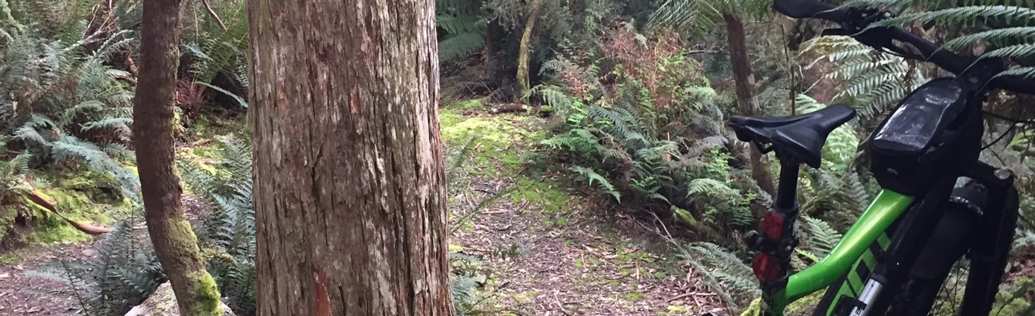 Big Chook via Emu Flat Road: 6 Reviews, Map - Tasmania, Australia ...