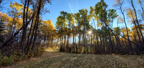 2023 Best 10 Trails, Walks, and Paths in Strathcona County | AllTrails