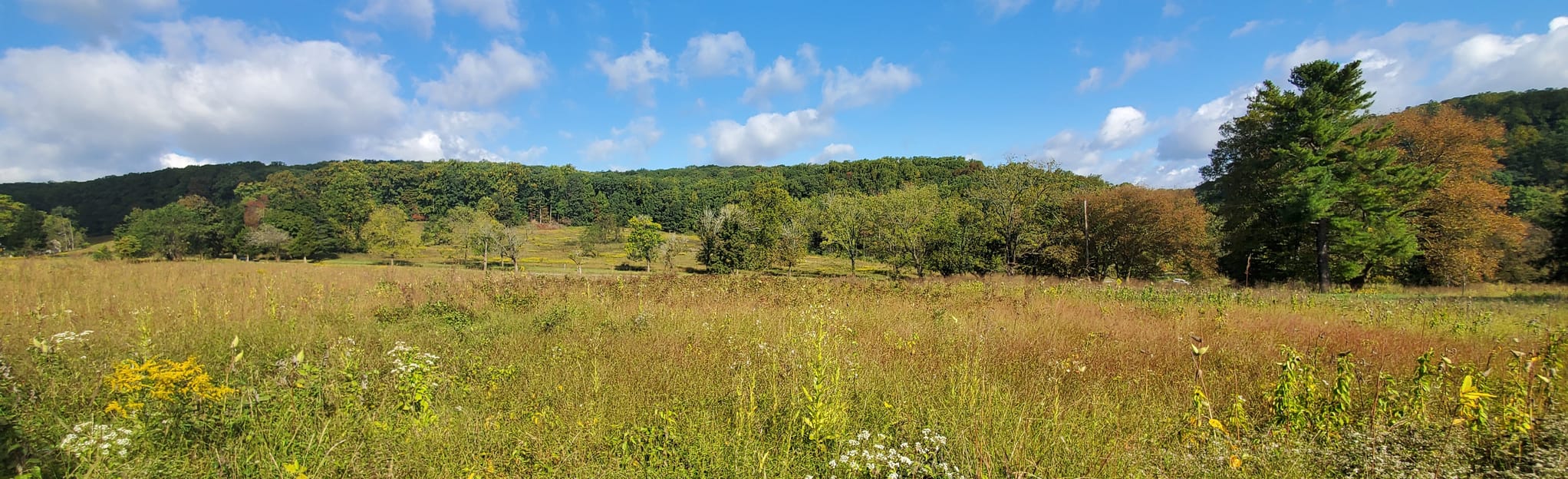 Mount Misery Trail, Pennsylvania - 677 Reviews, Map | AllTrails