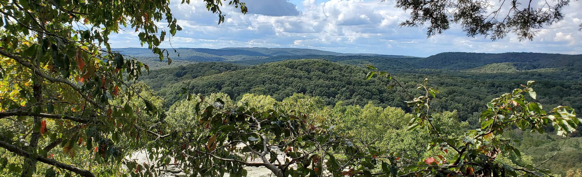 Indian Point Trail, Illinois - 1,497 Reviews, Map | AllTrails