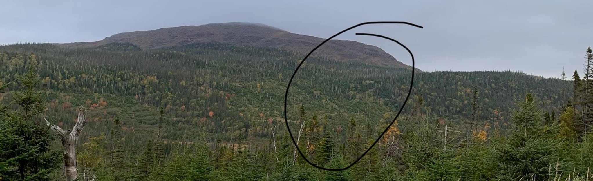 Big Cooks Pond via Trailway, Newfoundland and Labrador, Canada - 8 ...