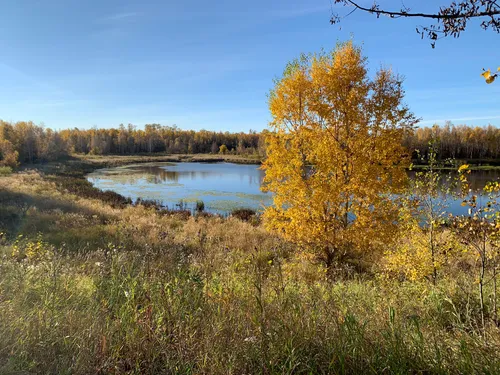 10 Best Forest Trails in Antler Lake | AllTrails