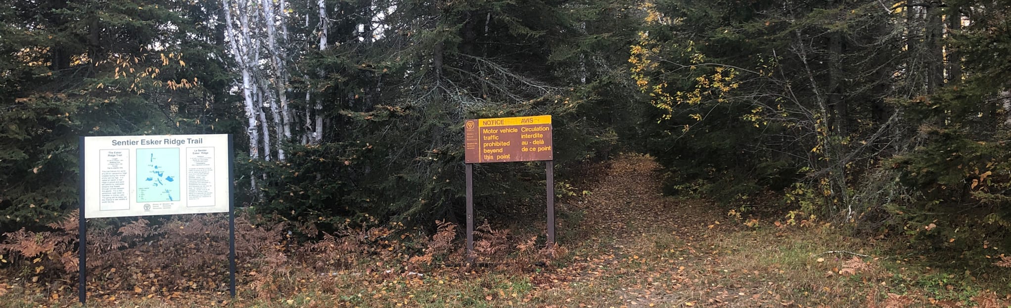 Esker Ridge Trail: 2 Reviews, Map - Ontario, Canada | AllTrails