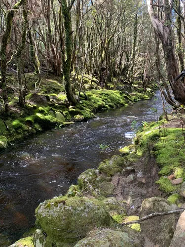 Best Hikes and Trails in Blue Tier Regional Reserve | AllTrails