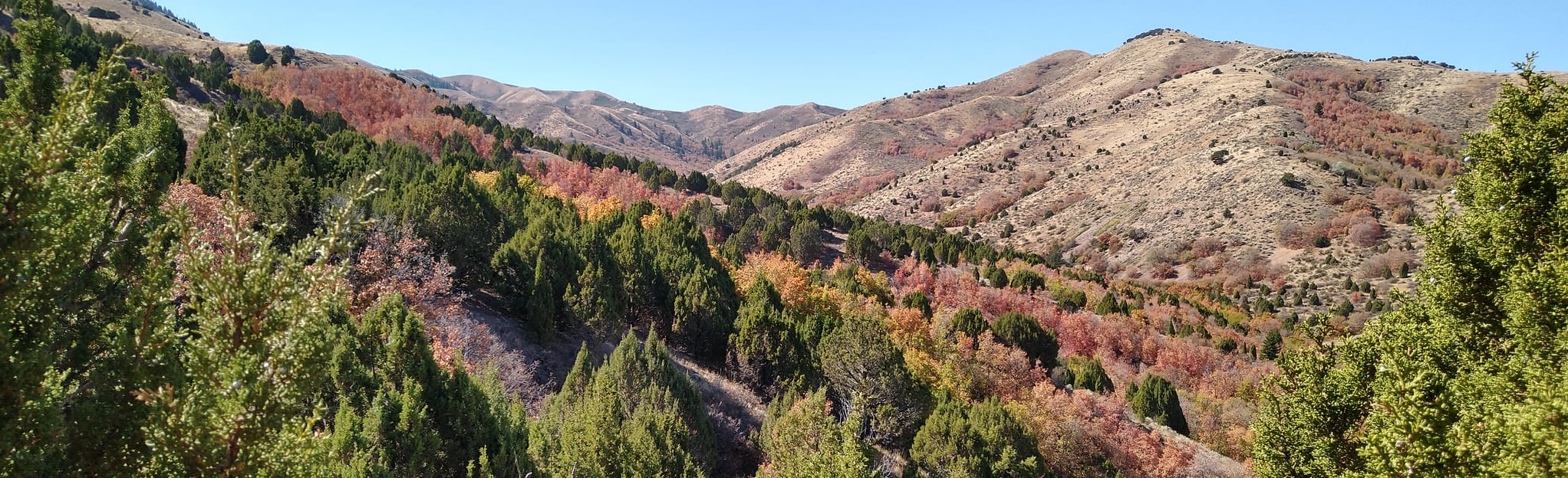 Cusick Creek Loop Trail : 213 Reviews, Map - Idaho | AllTrails