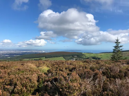 Best Hikes and Trails in Cruagh, Tibradden & Pine Forest | AllTrails