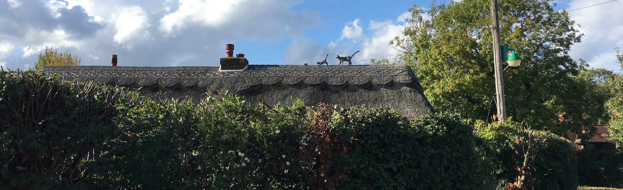 Elvington - Nonnington Circular: 2 Reviews, Map - Kent, England | AllTrails