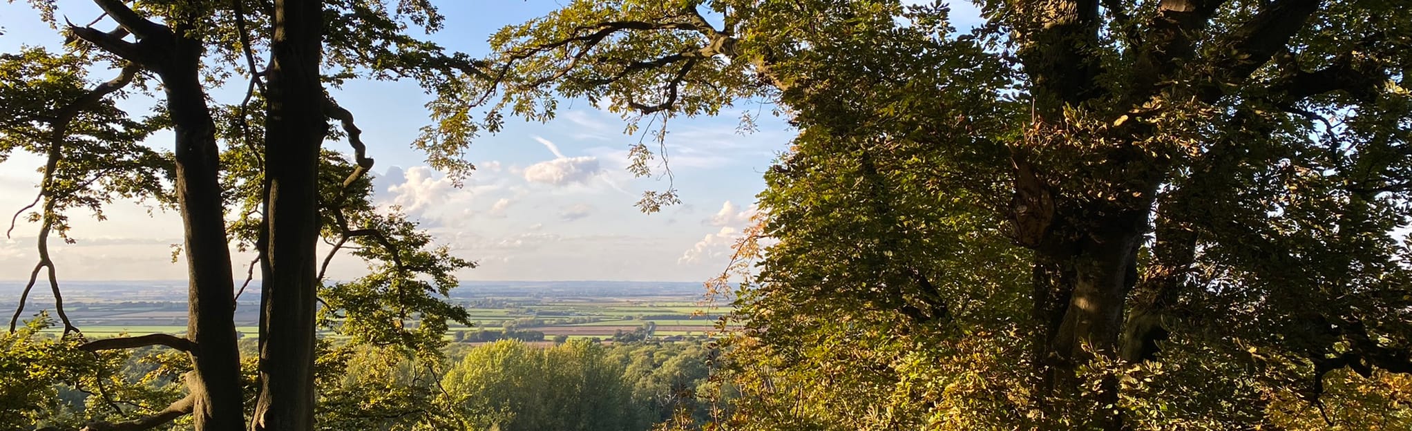 Stathern Wood and Barkestone Wood: 37 Fotos - Lincolnshire, England ...
