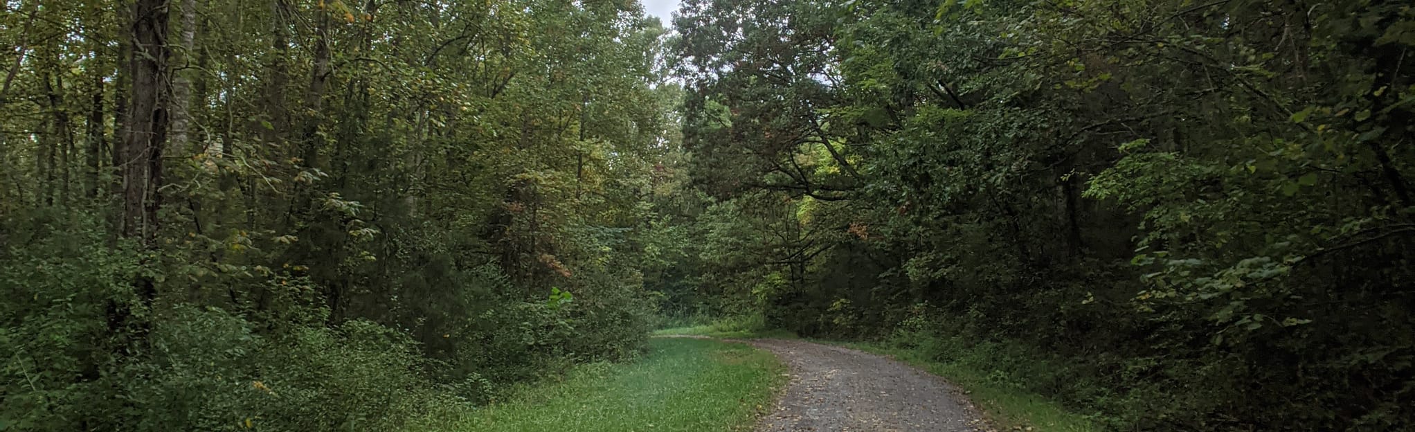 Double Track, Running Cedar, Ravine, and Hanenkahm Trail Loop, Virginia ...